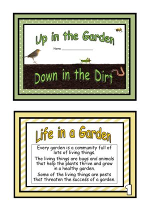 Up in the Garden & Down in the Dirt Reading Comprehension | Made By ...