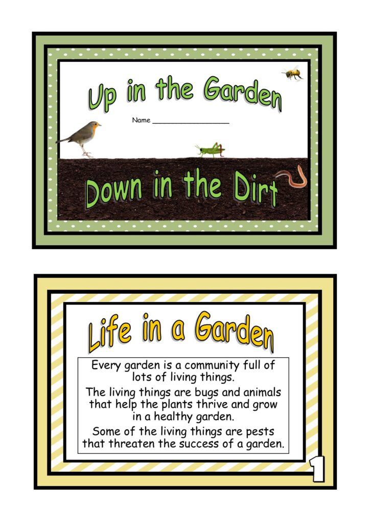 Up in the Garden & Down in the Dirt Reading Comprehension | Made By ...