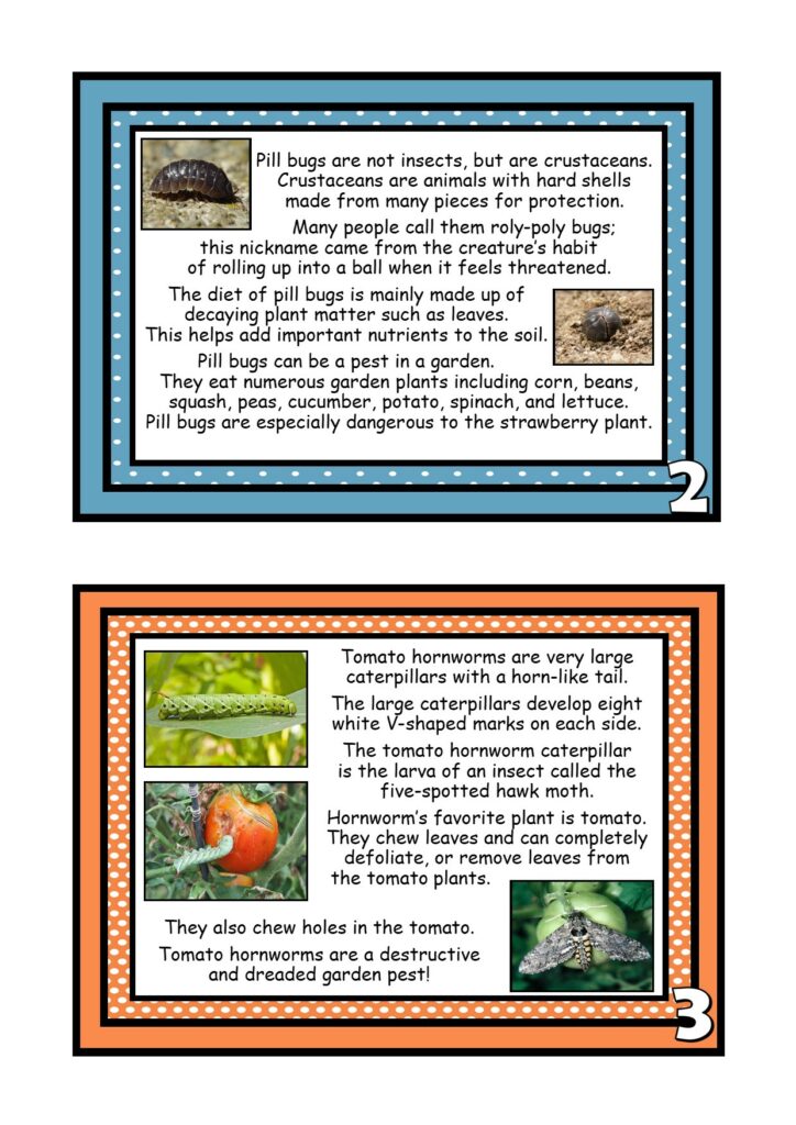 Up in the Garden & Down in the Dirt Reading Comprehension | Made By ...