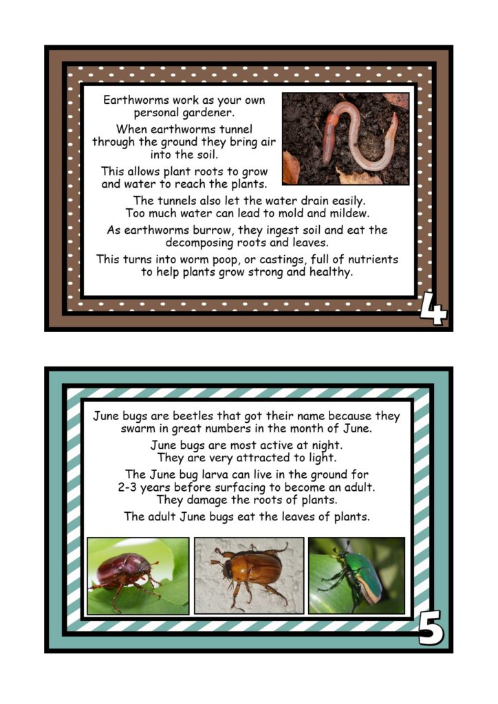 Up in the Garden & Down in the Dirt Reading Comprehension | Made By ...