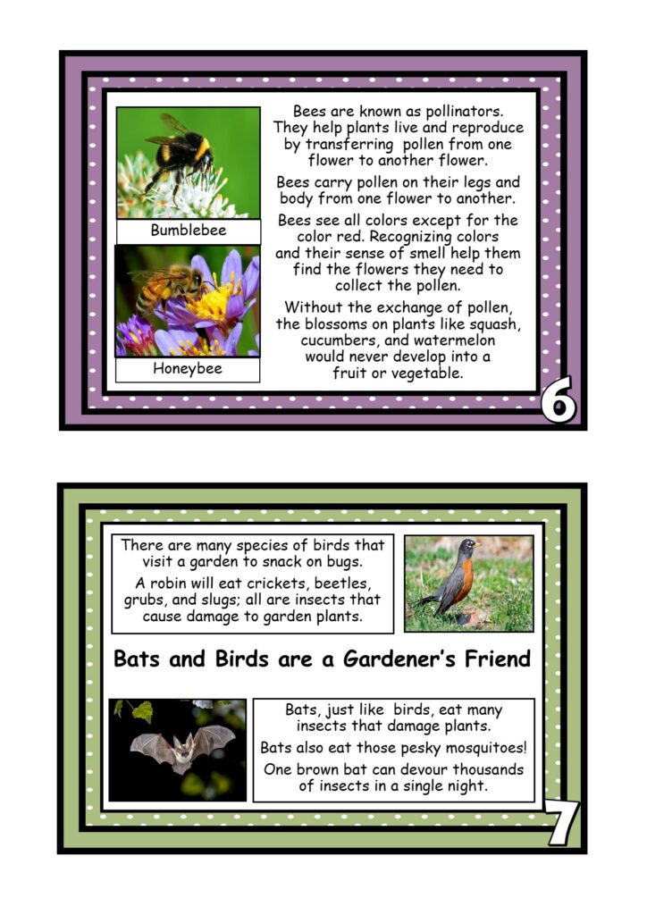 Up in the Garden & Down in the Dirt Reading Comprehension | Made By ...