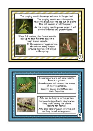 Up in the Garden & Down in the Dirt Reading Comprehension | Made By ...