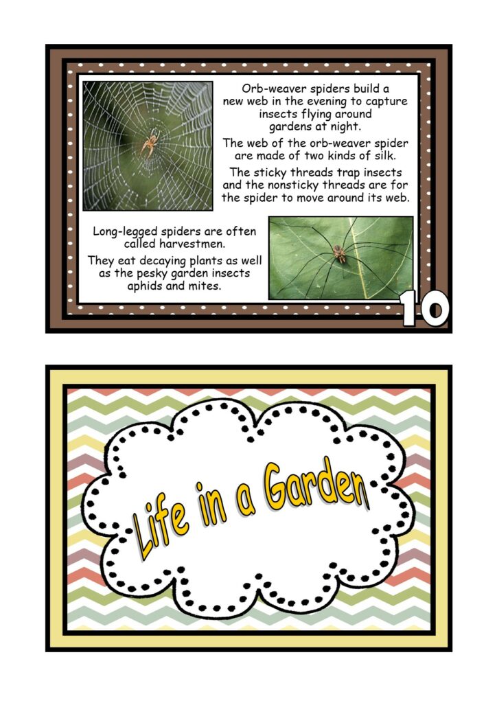 Up in the Garden & Down in the Dirt Reading Comprehension | Made By ...