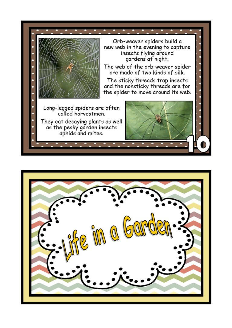 Up in the Garden & Down in the Dirt Reading Comprehension | Made By ...