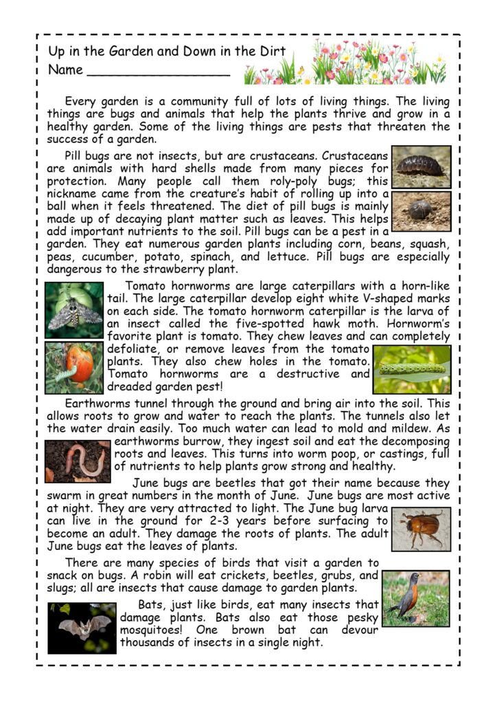 Up in the Garden & Down in the Dirt Reading Comprehension | Made By ...