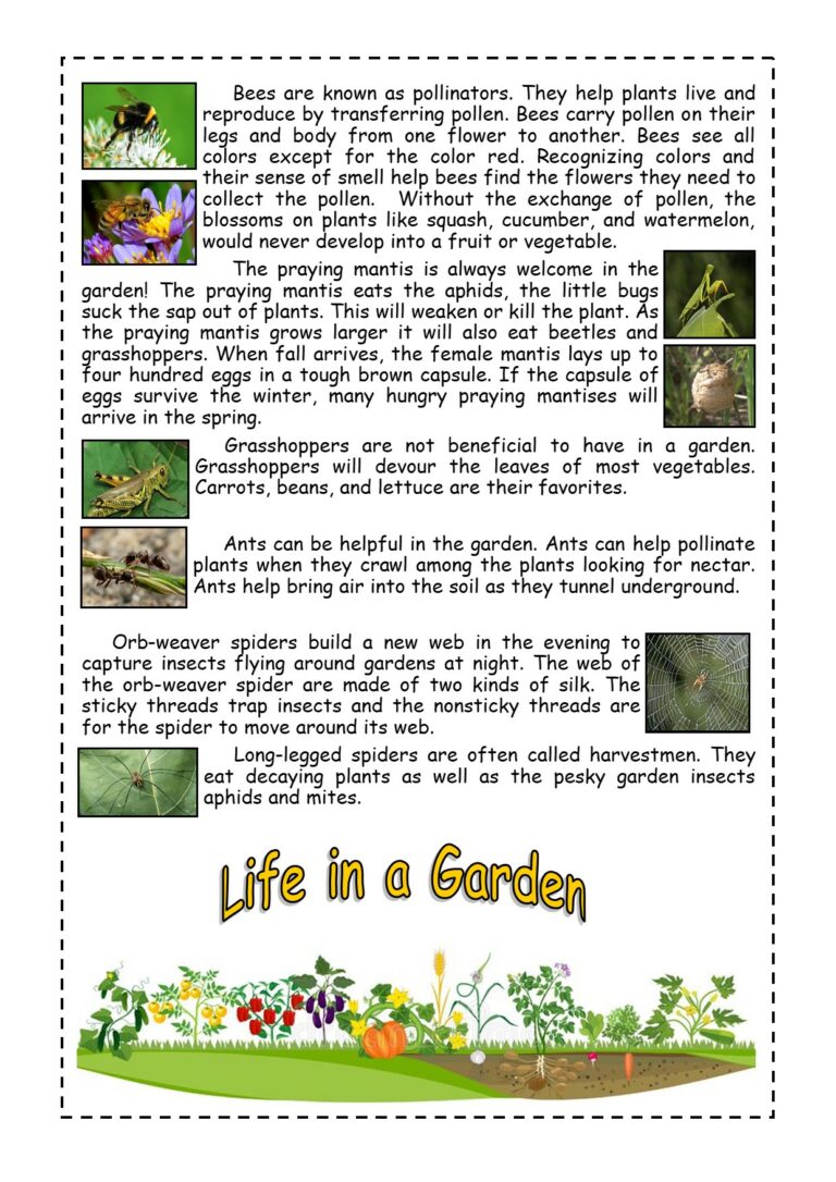 Up in the Garden & Down in the Dirt Reading Comprehension | Made By ...