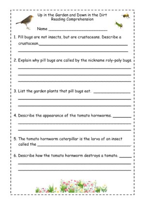 Up in the Garden & Down in the Dirt Reading Comprehension | Made By ...