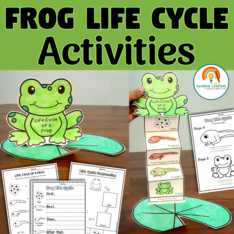 Life Cycle Of Frog Activities | Frog Life Cycle Craft | Kindergarten ...