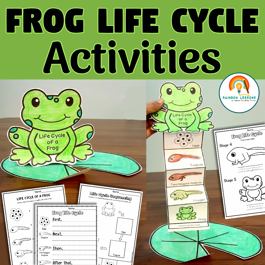 Frog Life Cycle Worksheet Blank
