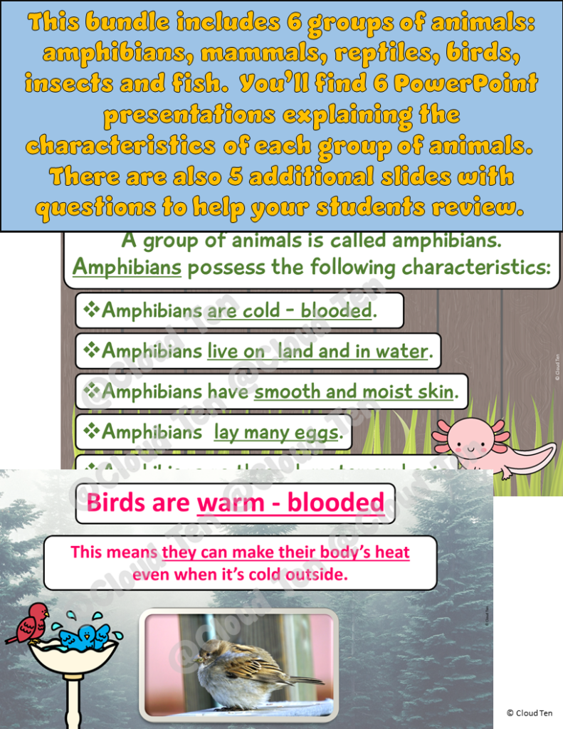 Animal characteristics in Google Slides ™ bundle | Made By Teachers
