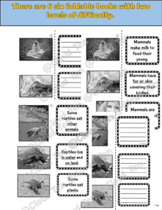 Animal characteristics in Google Slides ™ bundle | Made By Teachers