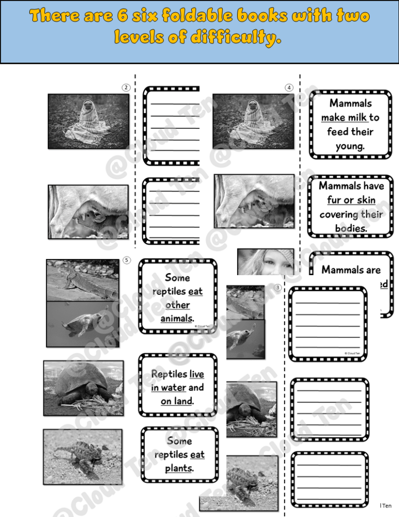 Animal characteristics in Google Slides ™ bundle | Made By Teachers