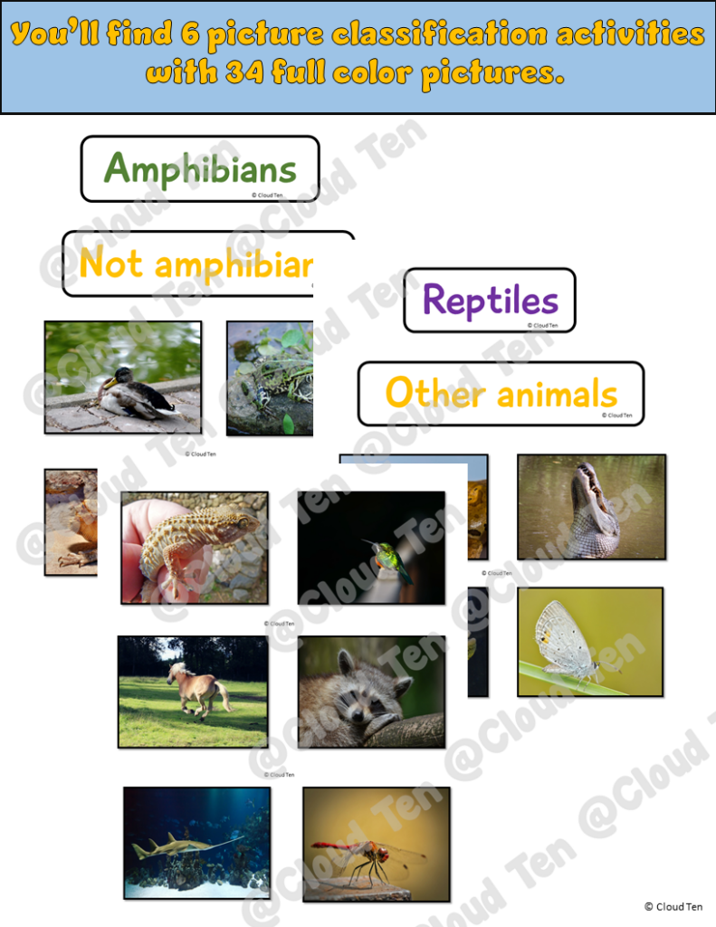 Animal characteristics in Google Slides ™ bundle | Made By Teachers
