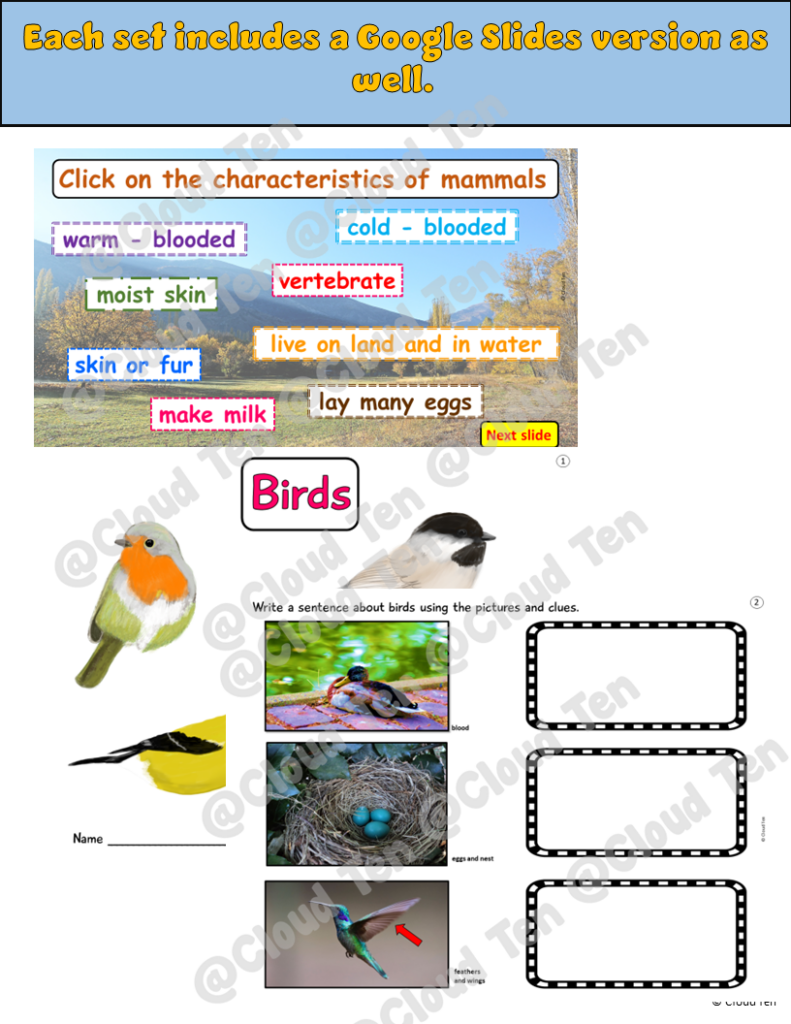 Animal characteristics in Google Slides ™ bundle | Made By Teachers