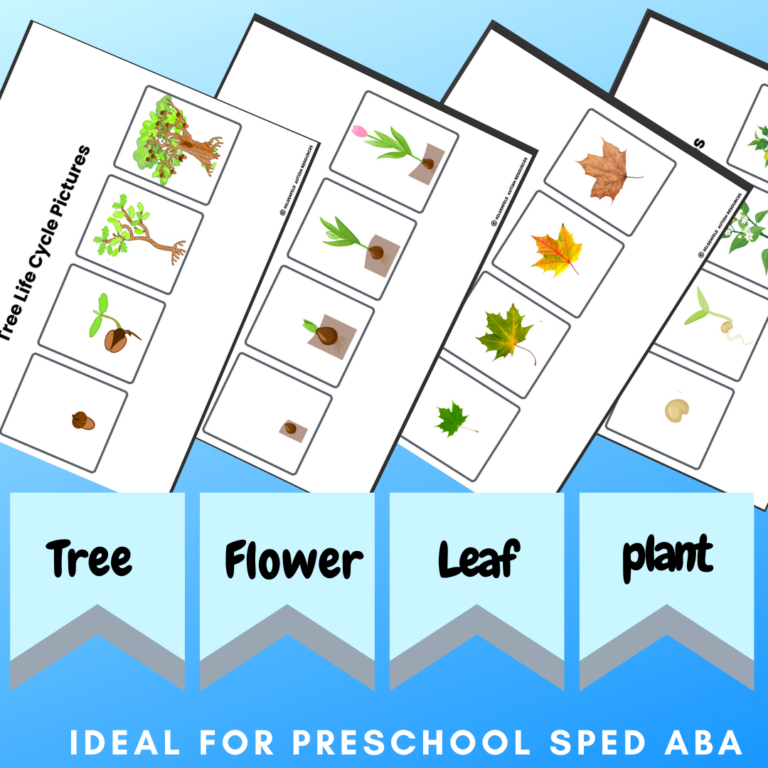 Spring 4 Step Sequence Cards, Mat, and Cut & Paste Worksheets | Made By ...