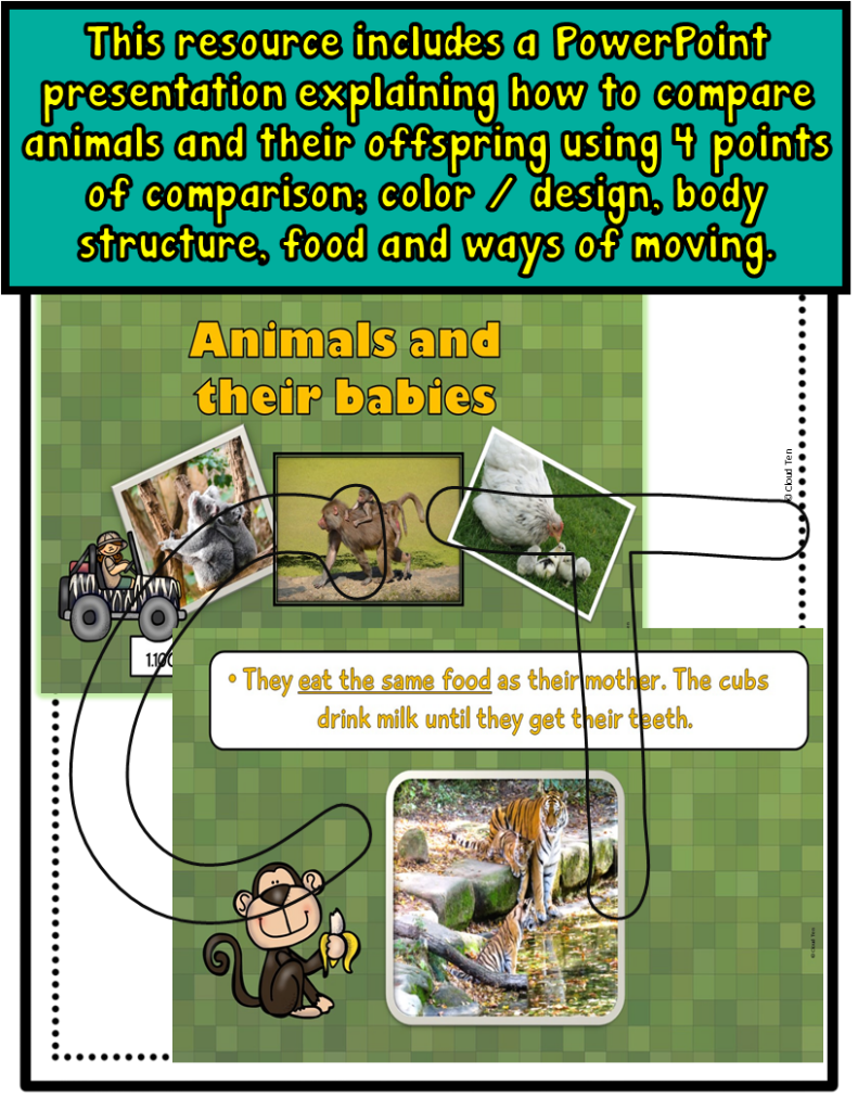 Los animales y sus crias | Made By Teachers