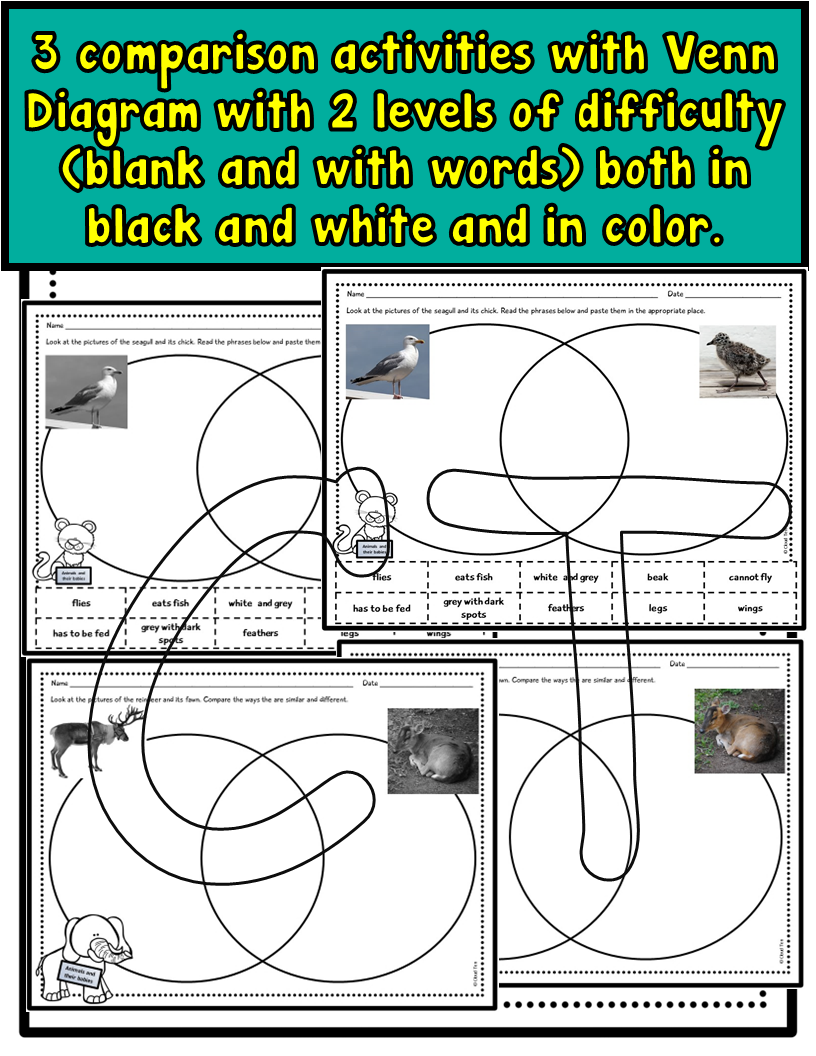 Los animales y sus crias | Made By Teachers