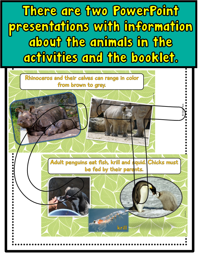 Los animales y sus crias | Made By Teachers