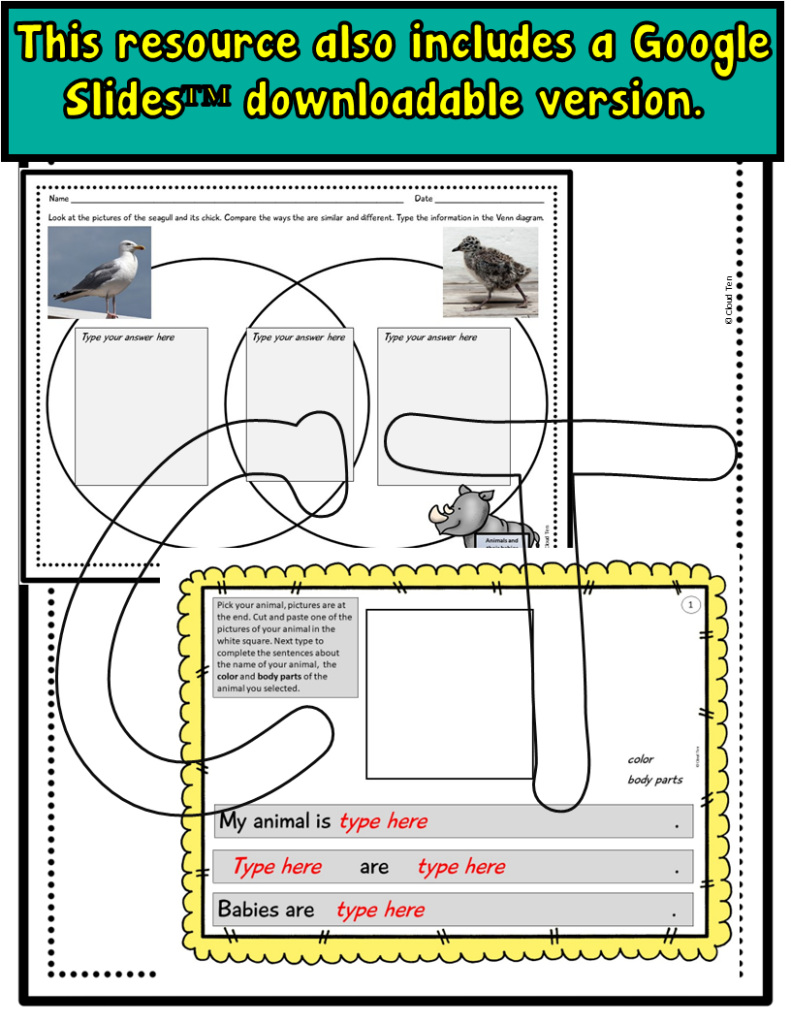 Los animales y sus crias | Made By Teachers