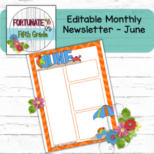 Editable Monthly Newsletter - June | Made By Teachers