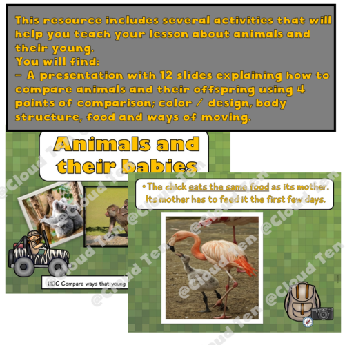 Animals and their babies in Google Slides™ | Made By Teachers