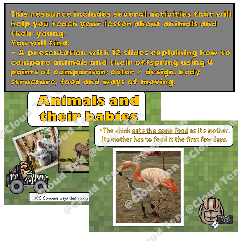 Animals and their babies in Google Slides™ | Made By Teachers