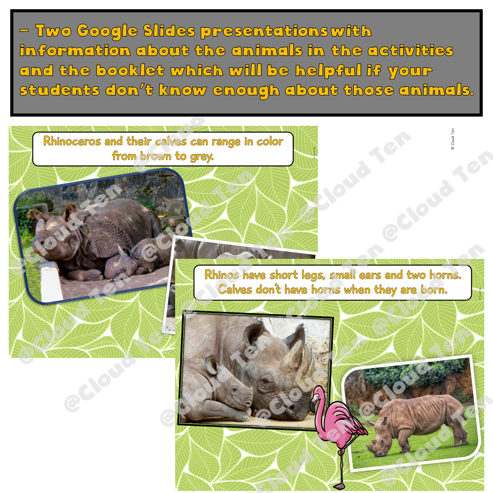 Animals and their babies in Google Slides™ | Made By Teachers