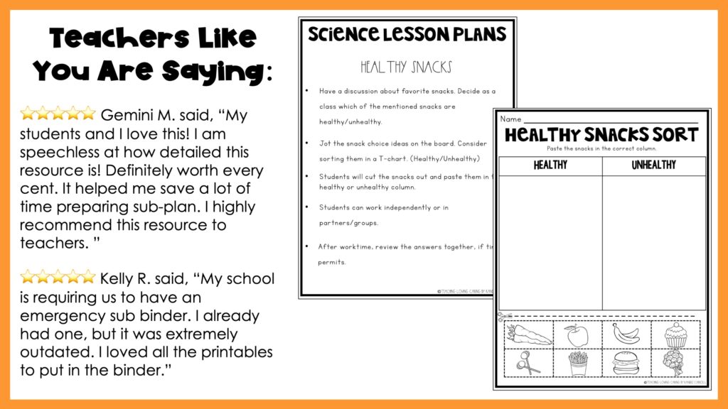 1st Grade Emergency Sub Plans | Made By Teachers