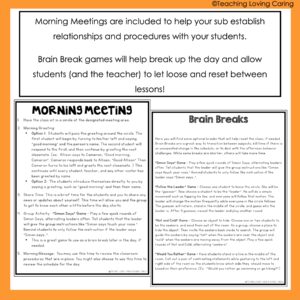 1st Grade Emergency Sub Plans | Made By Teachers