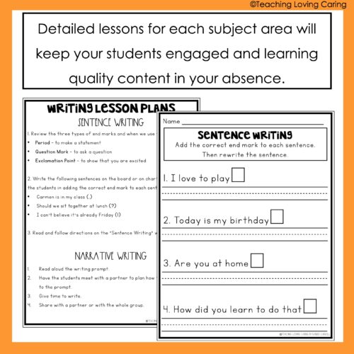 1st Grade Emergency Sub Plans | Made By Teachers