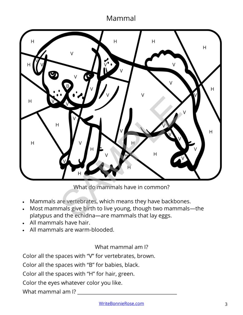 Animal Classification Color by Code Activity Pack | Made By Teachers