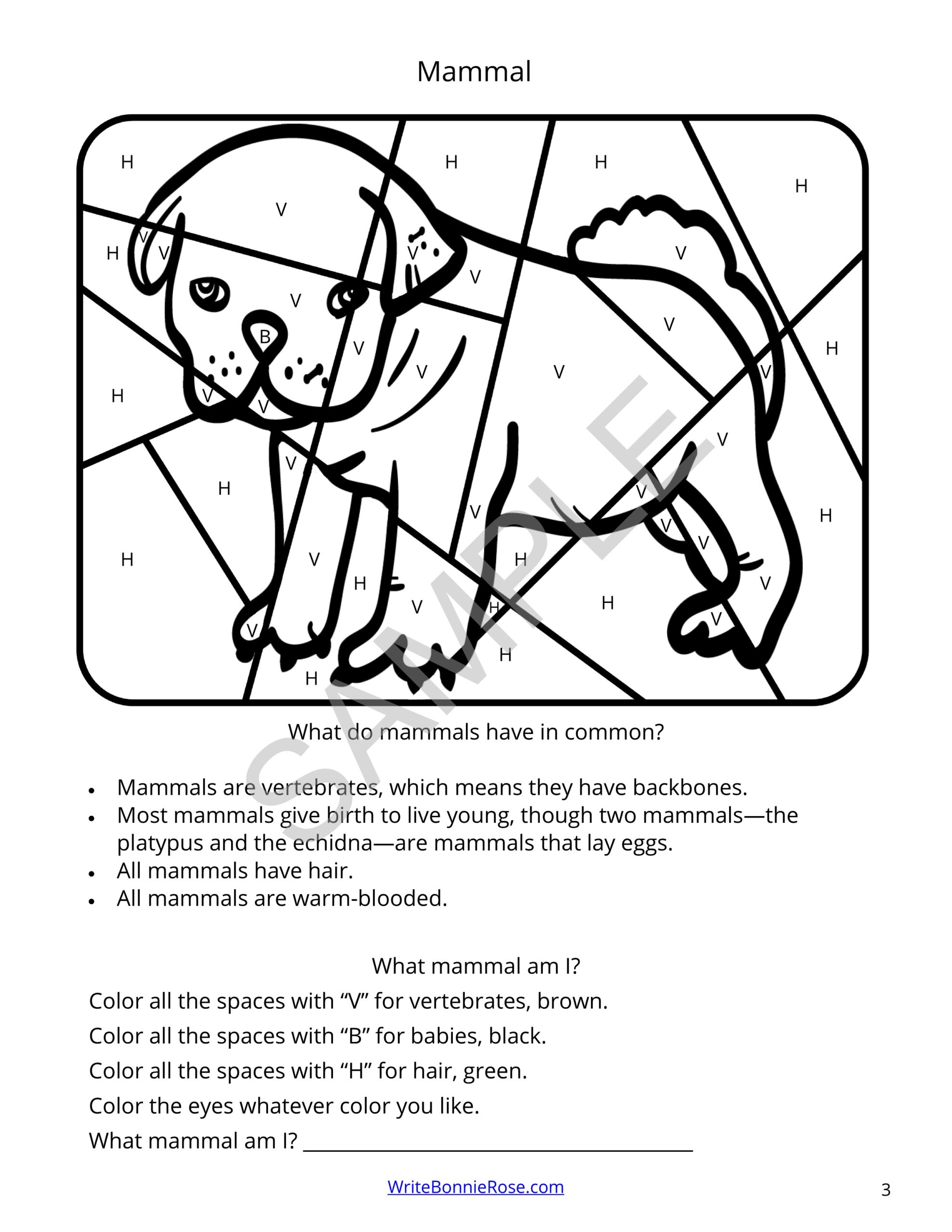 Animal Classification Color by Code Activity Pack | Made By Teachers