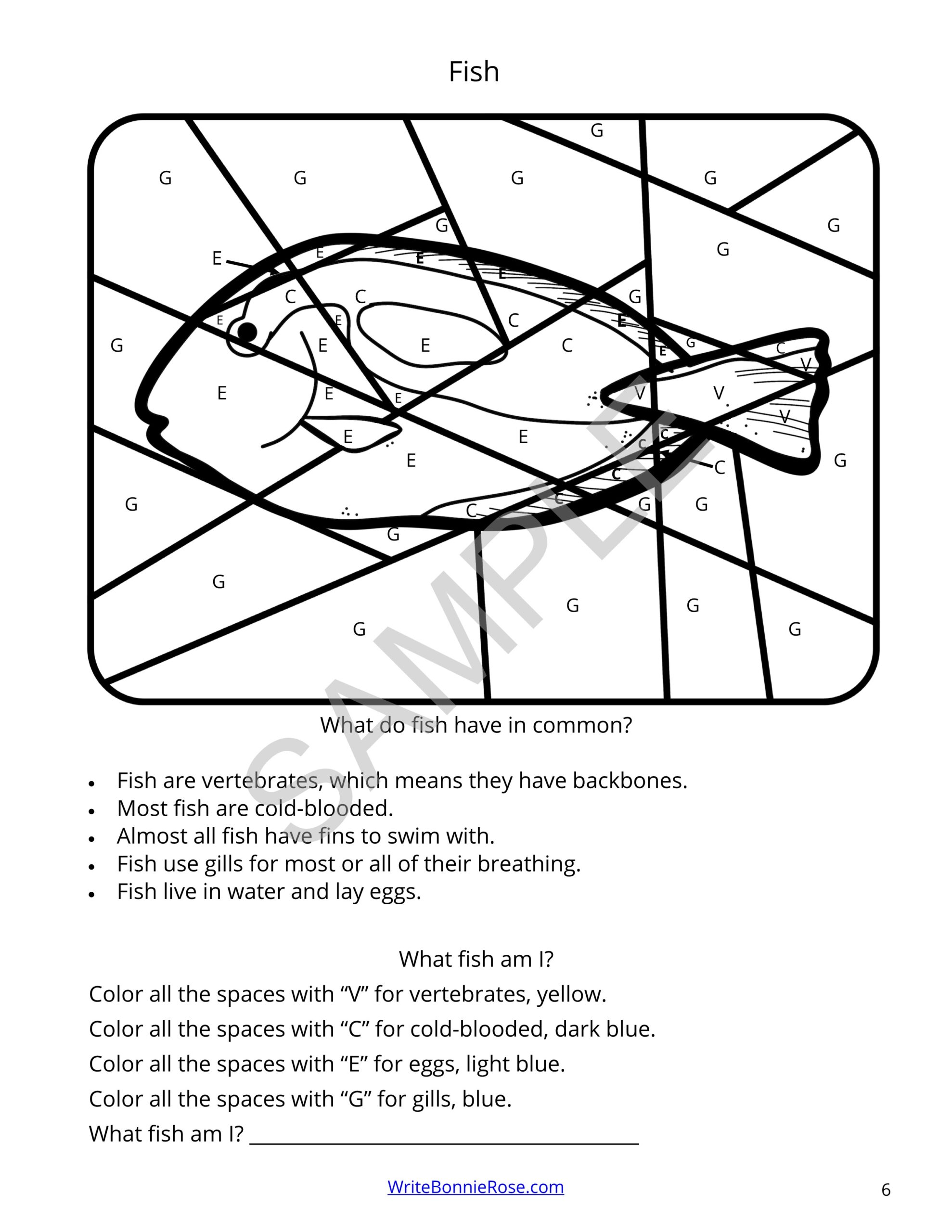 Animal Classification Color by Code Activity Pack | Made By Teachers
