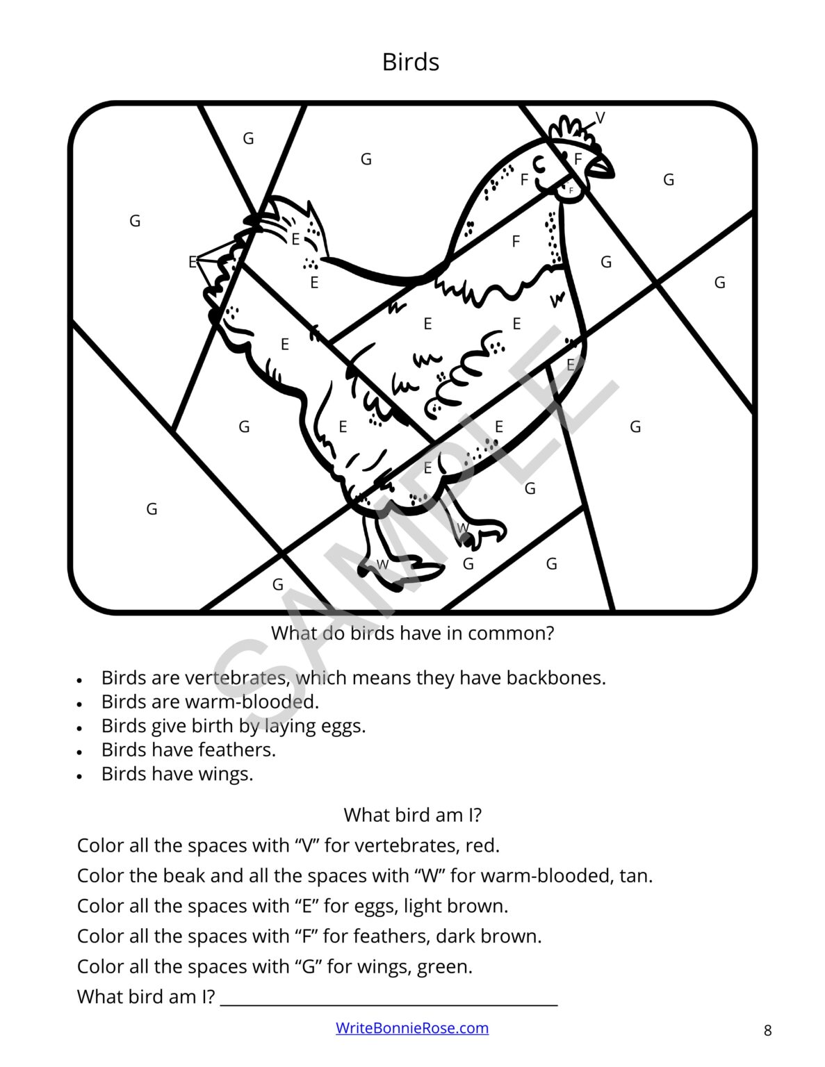 Animal Classification Color by Code Activity Pack | Made By Teachers