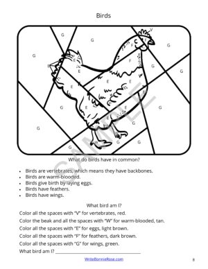 Animal Classification Color by Code Activity Pack | Made By Teachers