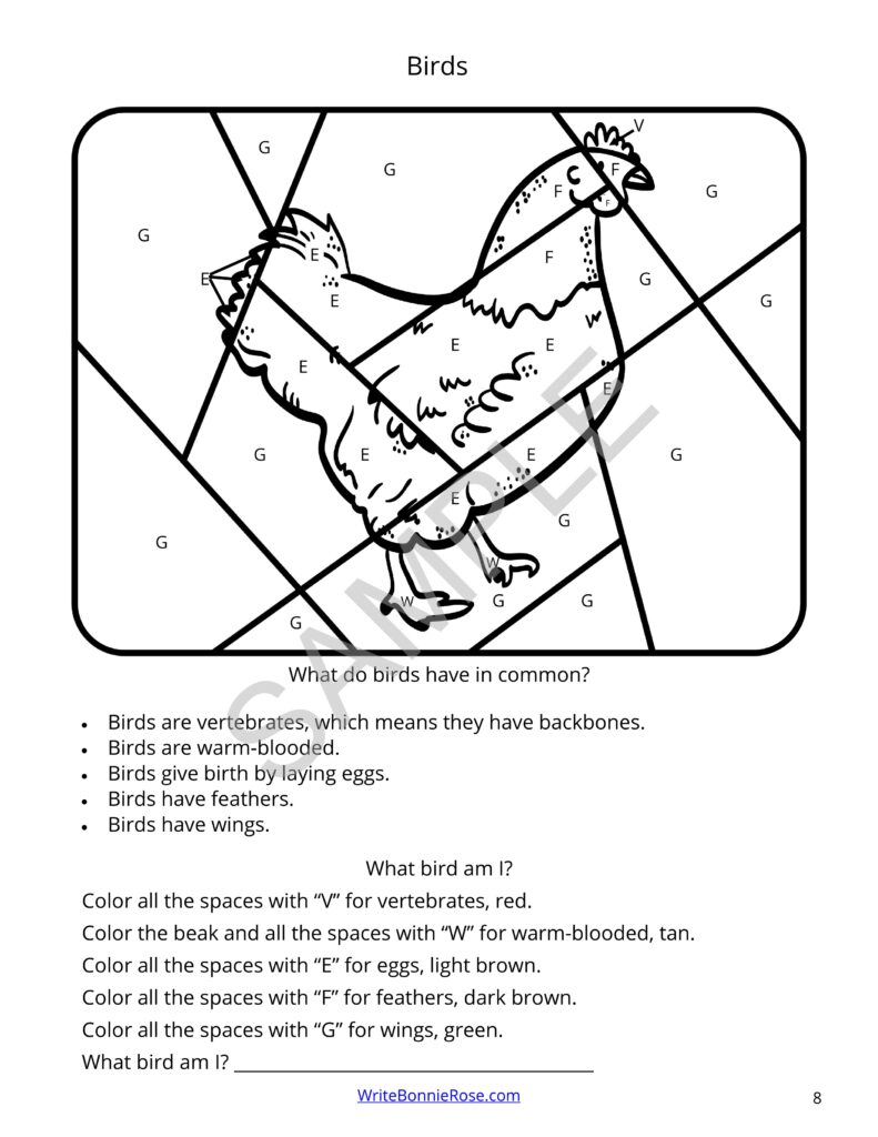 Animal Classification Color by Code Activity Pack | Made By Teachers