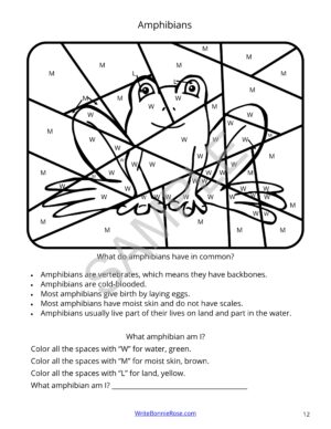 Animal Classification Color by Code Activity Pack | Made By Teachers