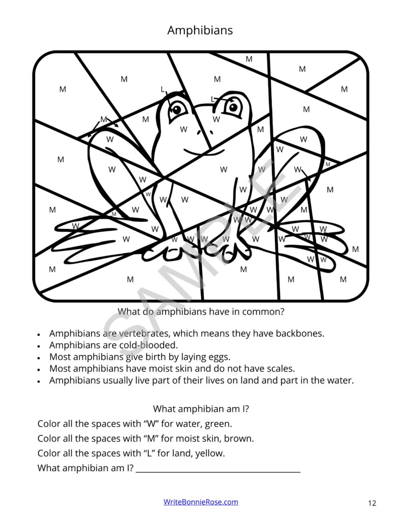 Animal Classification Color by Code Activity Pack | Made By Teachers