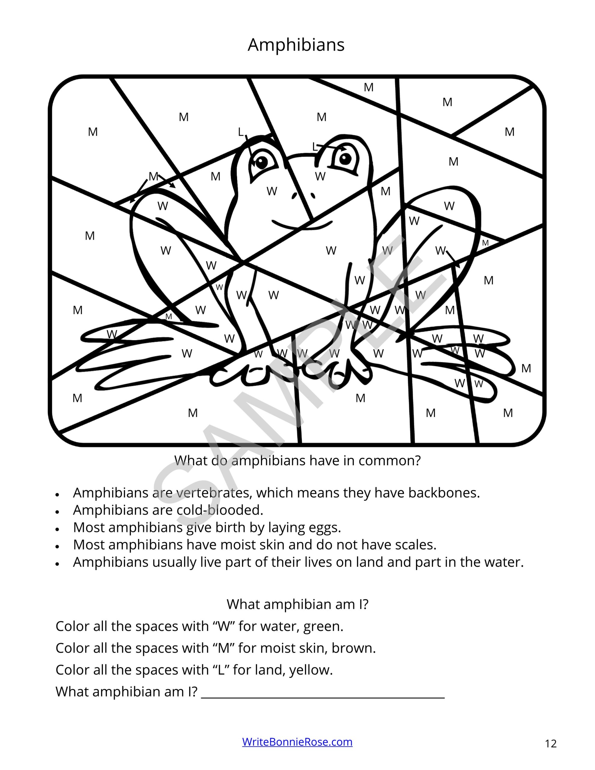 Animal Classification Color by Code Activity Pack | Made By Teachers