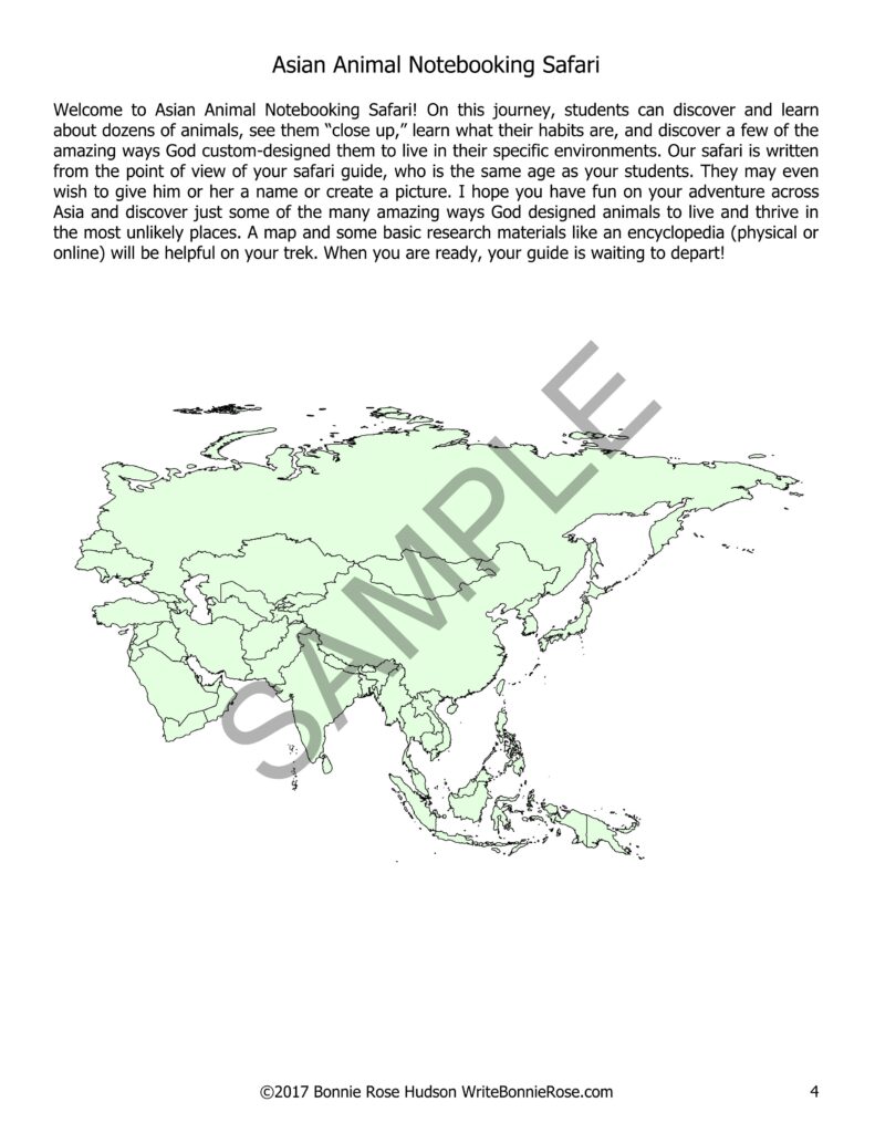 Asian Animals Notebooking Safari | Made By Teachers