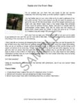 Asian Animals Notebooking Safari | Made By Teachers
