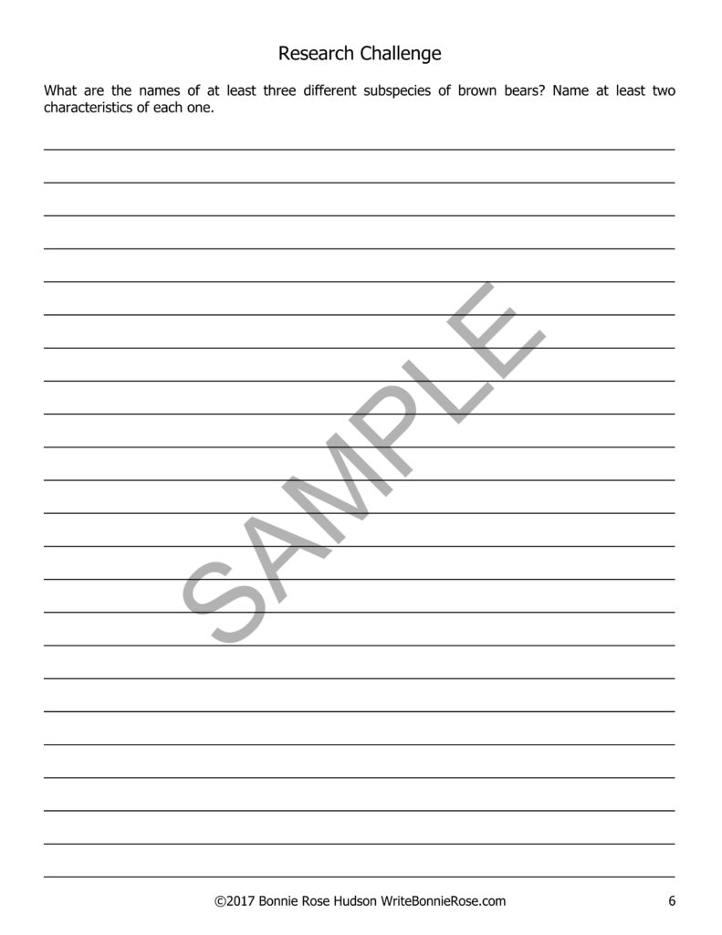 Asian Animals Notebooking Safari | Made By Teachers