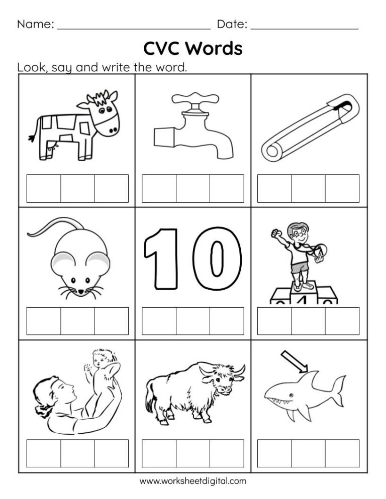 CVC Words, Say and Write the CVC Words, Phonics Worksheets ...