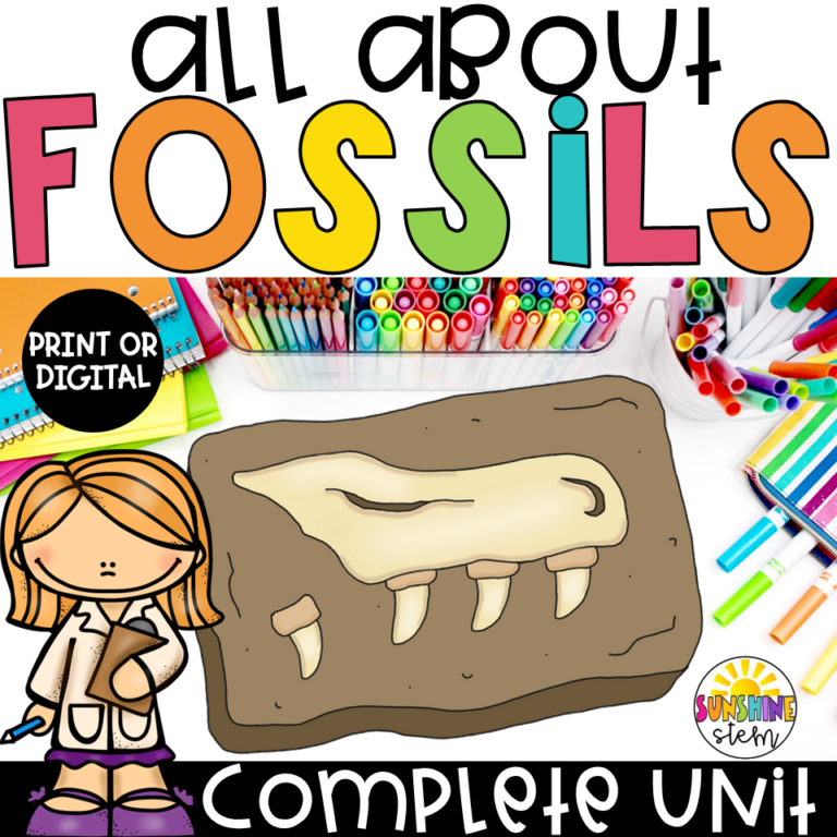All About Fossils | Made By Teachers