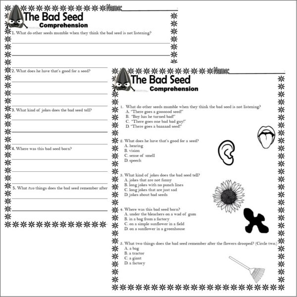 The Bad Seed Book Companion Reading Comprehension Worksheets | Made By ...