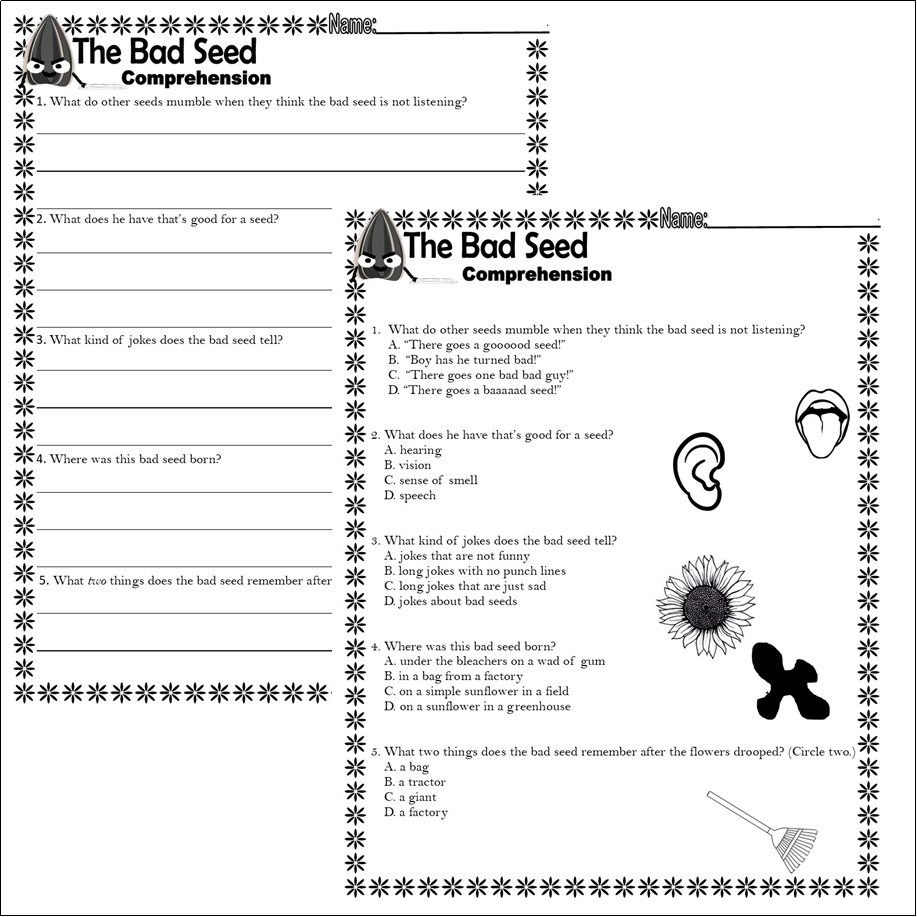 The Bad Seed Book Companion Reading Comprehension Worksheets | Made By ...