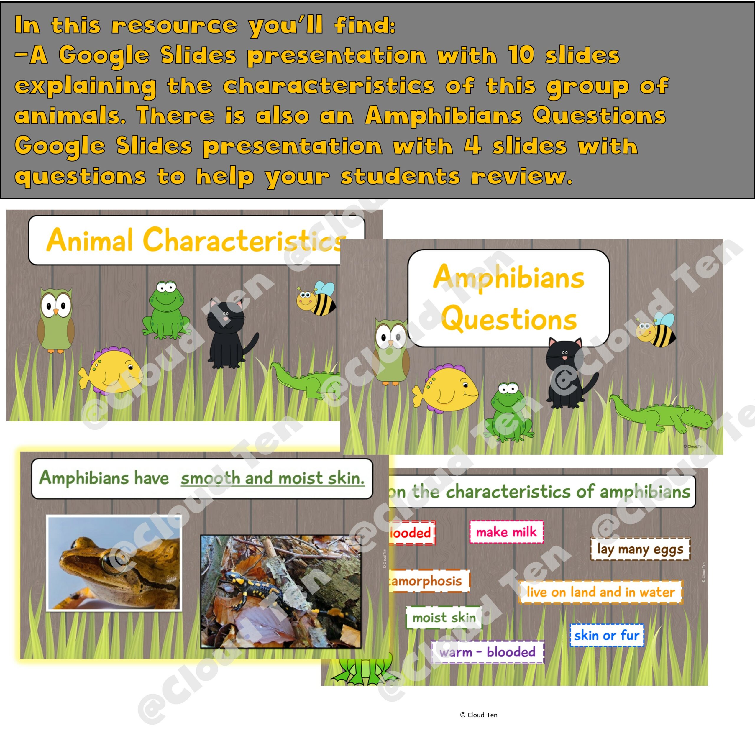 Reptiles in Google Slides™ | Made By Teachers