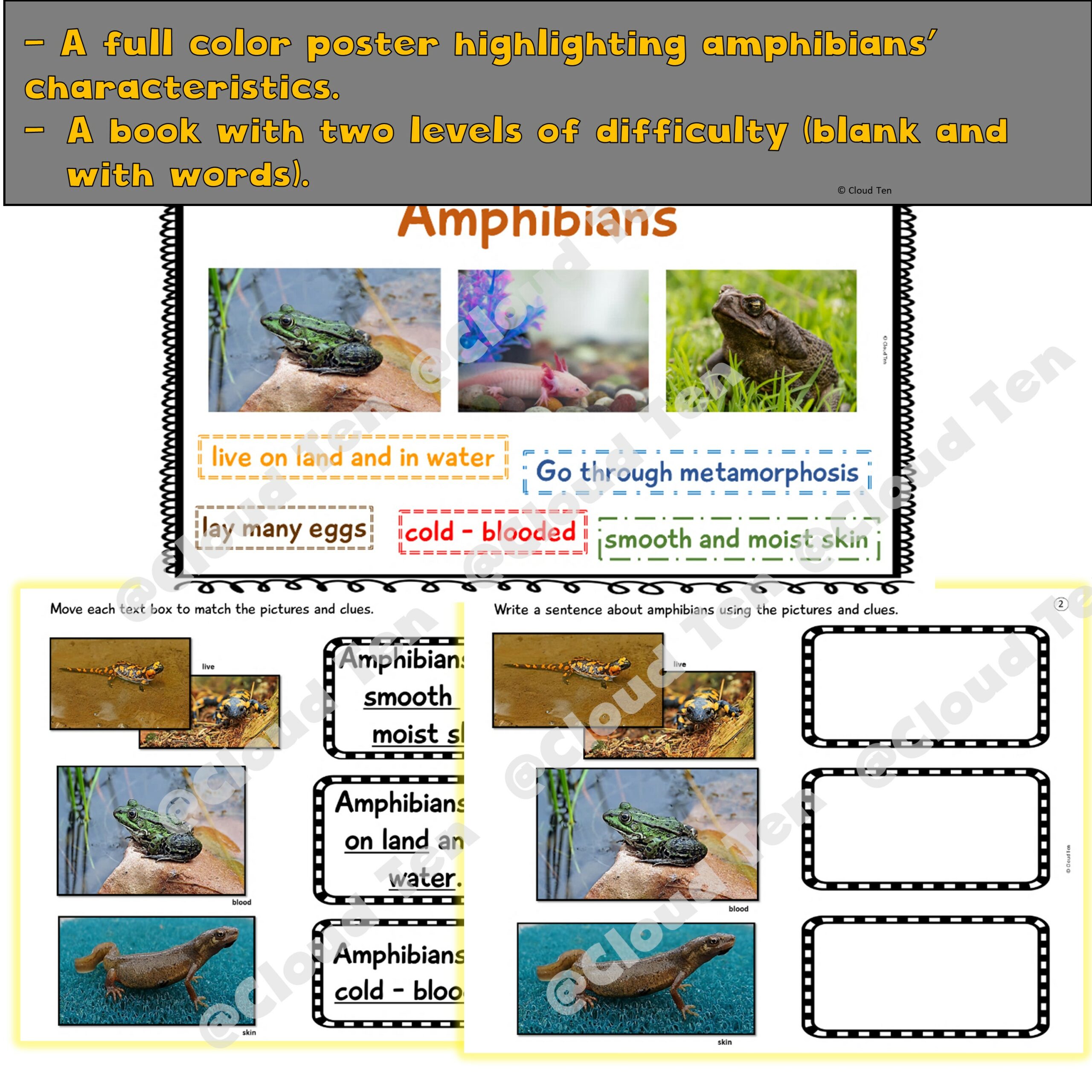 Reptiles in Google Slides™ | Made By Teachers