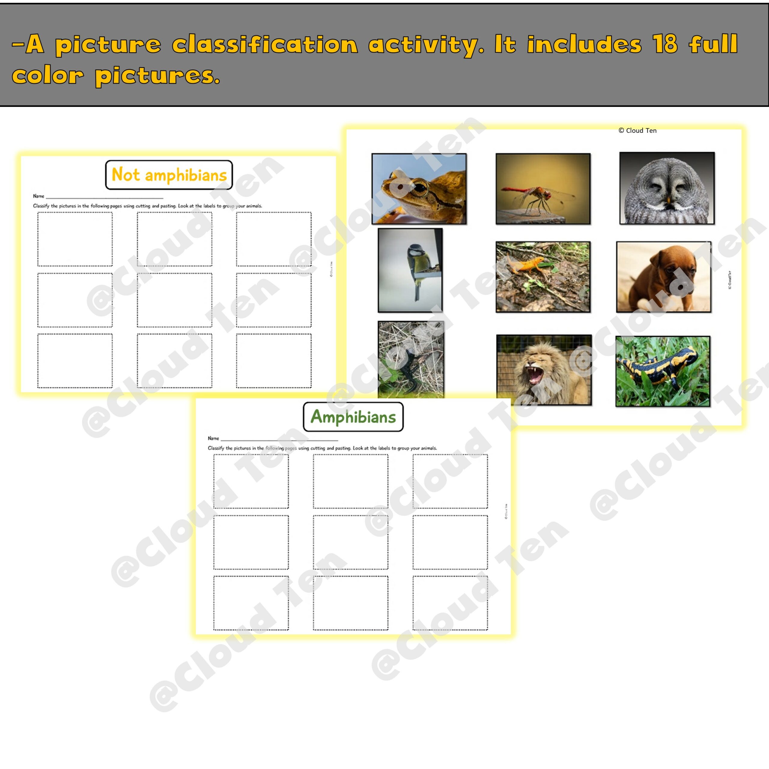 Reptiles in Google Slides™ | Made By Teachers