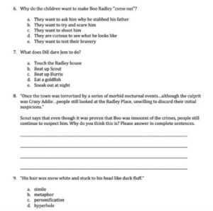 To Kill a Mockingbird: Assessment Questions (Reading Comprehension ...